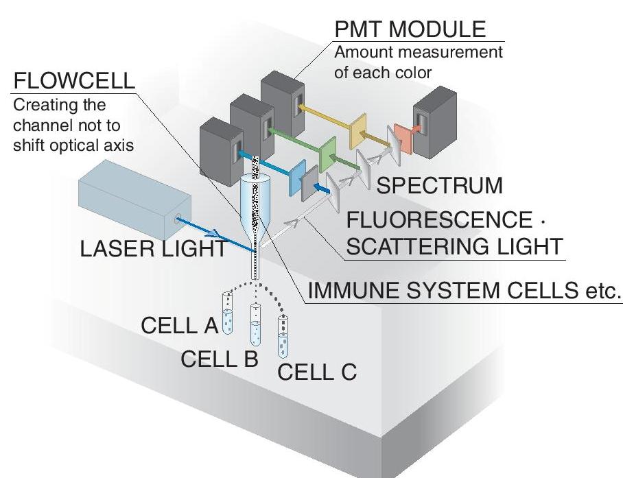 PMT(Photomultiplier Tube)