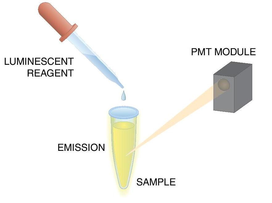 PMT(Photomultiplier Tube)