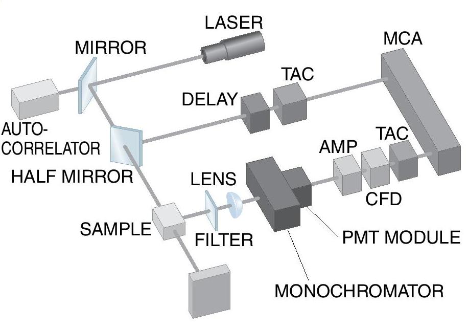 PMT(Photomultiplier Tube)