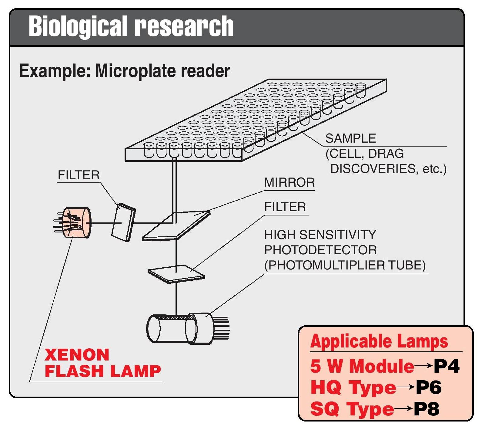 Xenon Flash Lamp