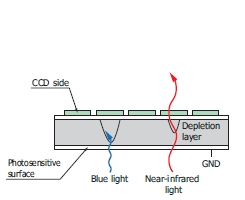Back-thinned type CCD area image sensor