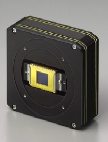 Multichannel detector head